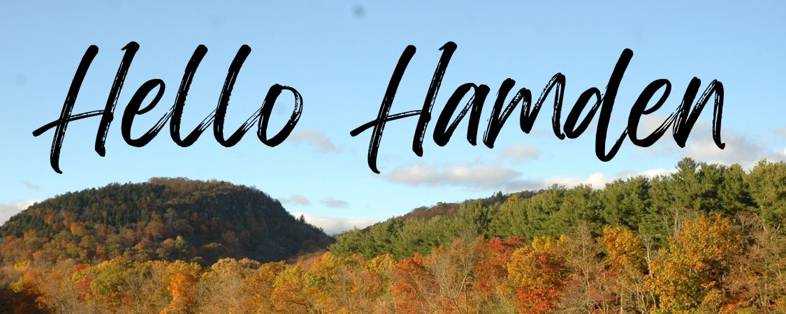 Hello Hamden | Community App